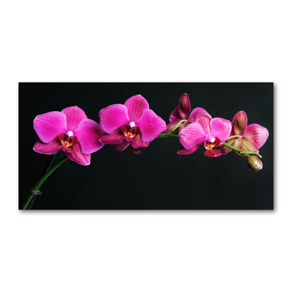 ModernMoments Orchidee - Kunstdrucke auf Leinwand - Wrapped Canvas | Wayfair.de